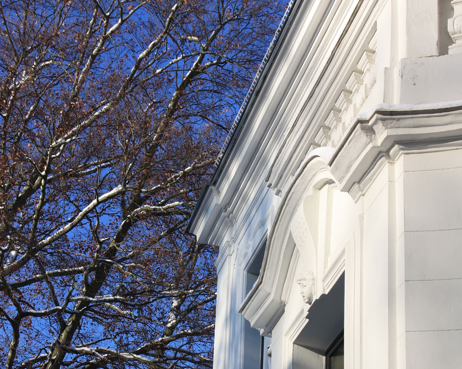 Wissenschaftskolleg zu Berlin: Wiko Wissenschaftskolleg zu Berlin: Wiko